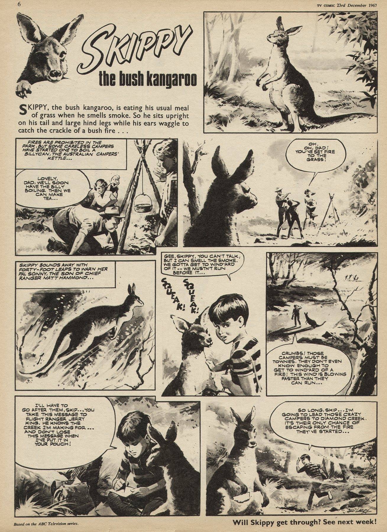 Who remembers Skippy the Bush Kangaroo, a TV – and TV Comic – favourite ...