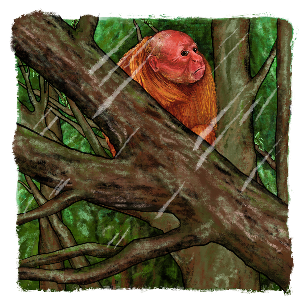 Sayra Begum reveals background to “Ten Years to Save the World – A ...