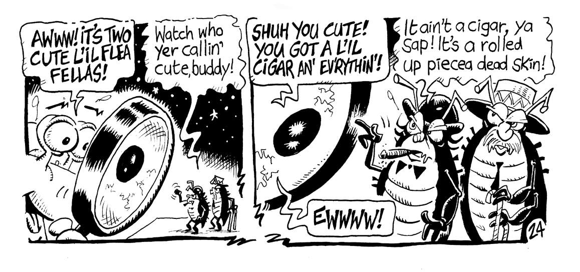 In Review: Beans and Tucker #1 – Shell-Brothers on the Run ...