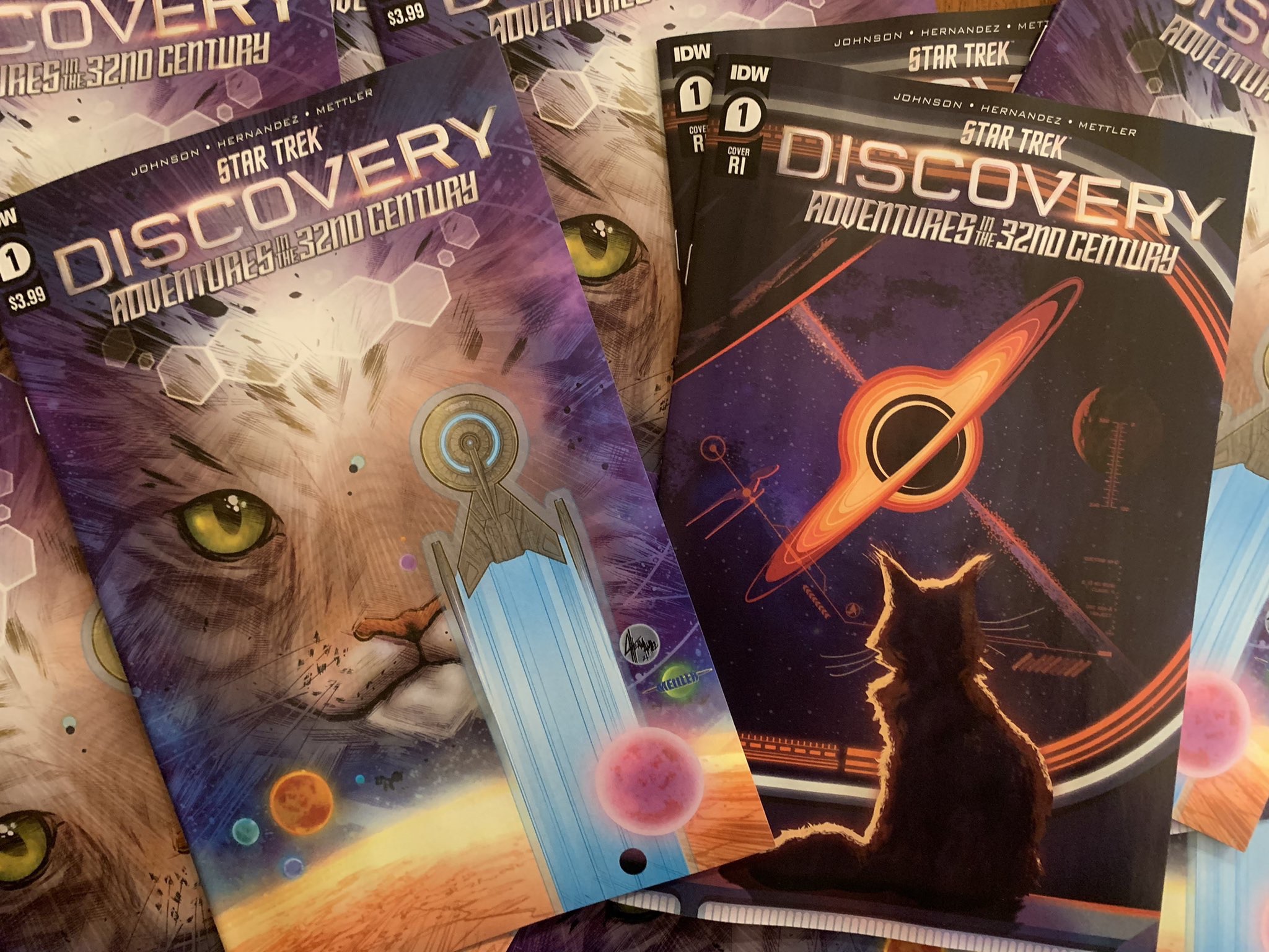 Grudge the Cat takes starring role in new Star Trek: Discovery mini ...