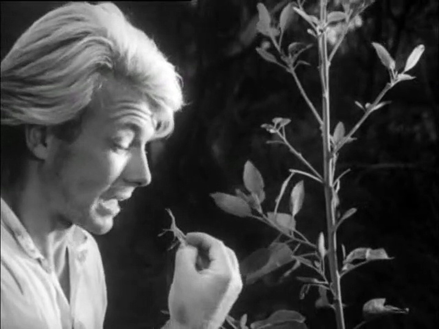 In Memoriam: Actor Robert Hoffman, star of “The Adventures of Robinson ...