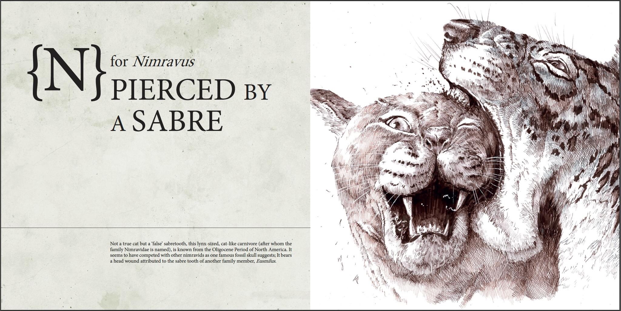 Steve White’s “The Bone Cabin Chronicles” available now – downthetubes.net