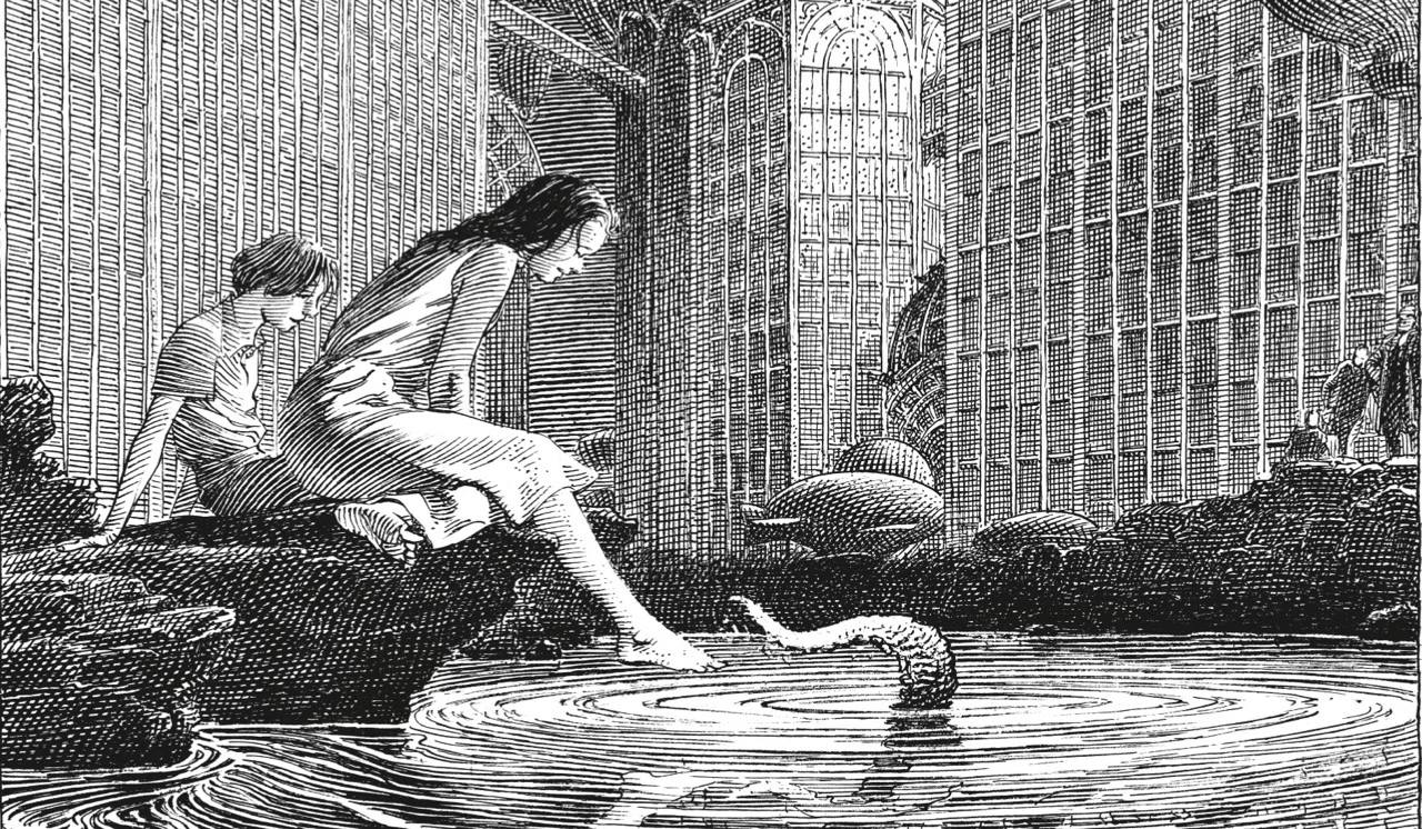 Crowdfunding Spotlight: The Return of Captain Nemo by Benoit Peeters ...