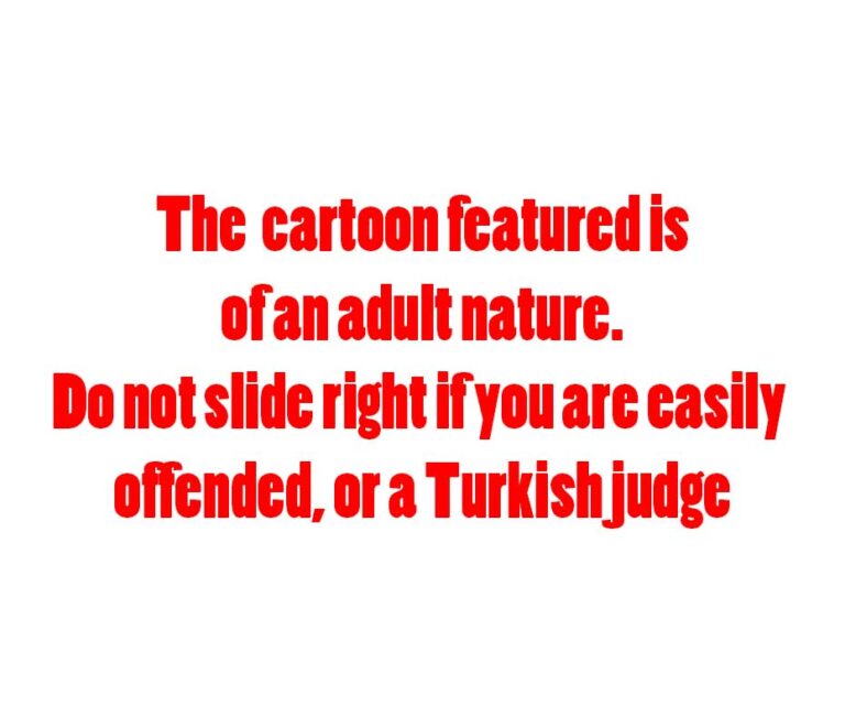 Turkish cartoonist Zehra Ömeroğlu presented with Robert Russell Courage ...